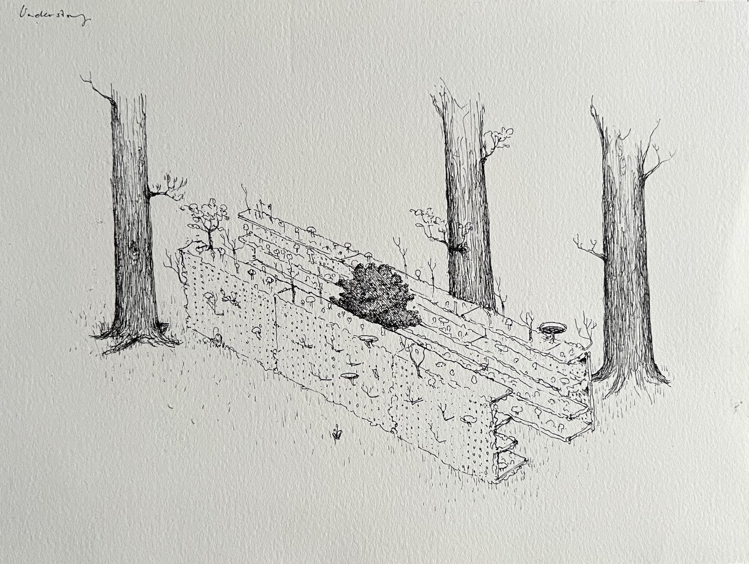 Andrew Merritt – Orleans House Gallery